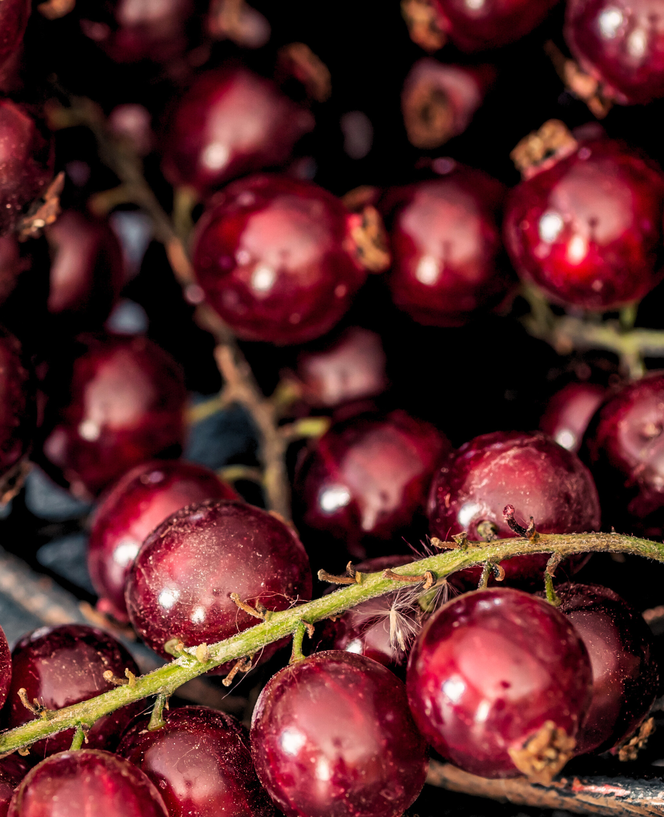 Discover the Superpowers of Schisandra